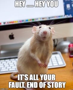 Your Fault: San Francisco Seeing Climate (scam) Driven Rat Explosion ...