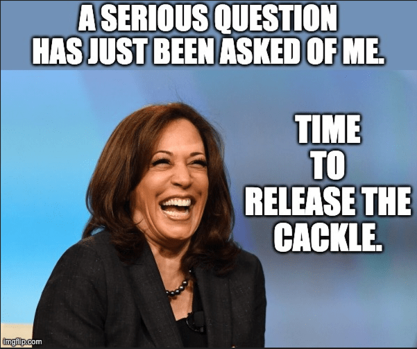 Surprise: Kamala Plagiarized Portions Of Her Book “Smart On Crime ...